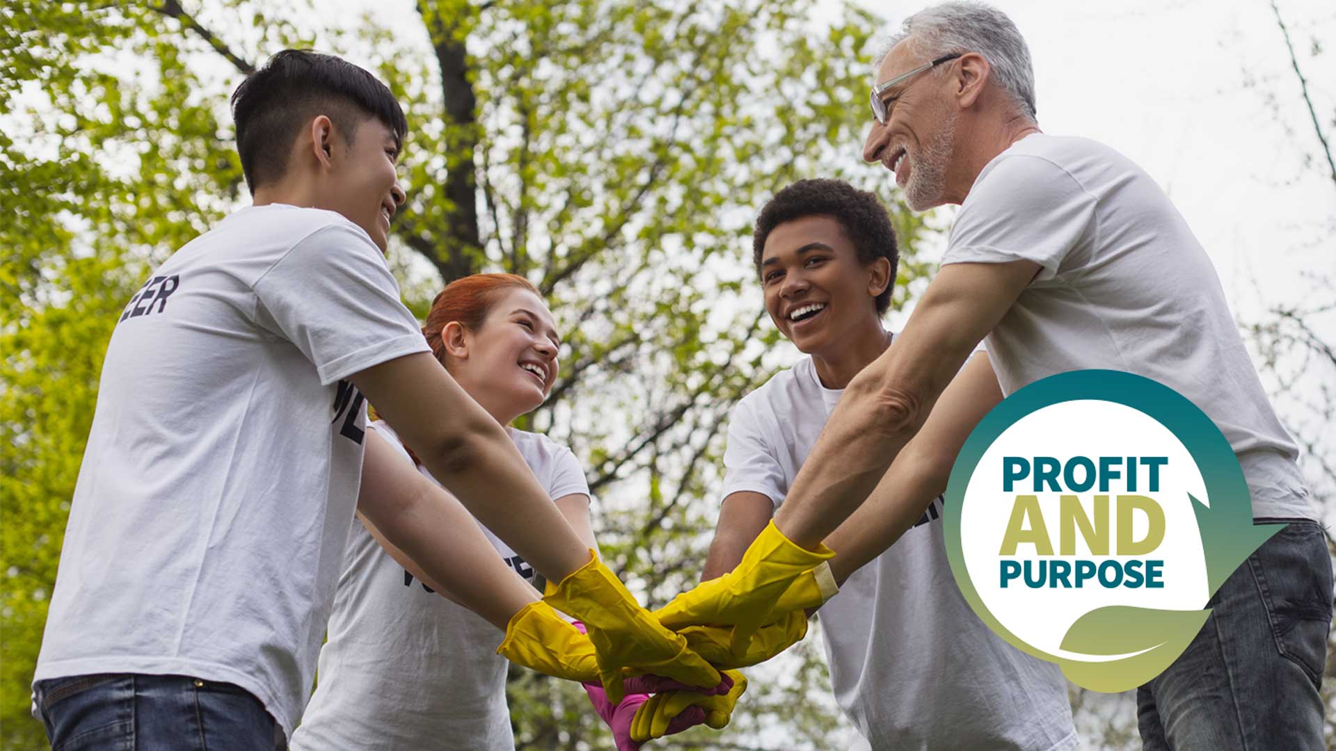 Not-for-Profit Accounting Guide | Harland Accountants