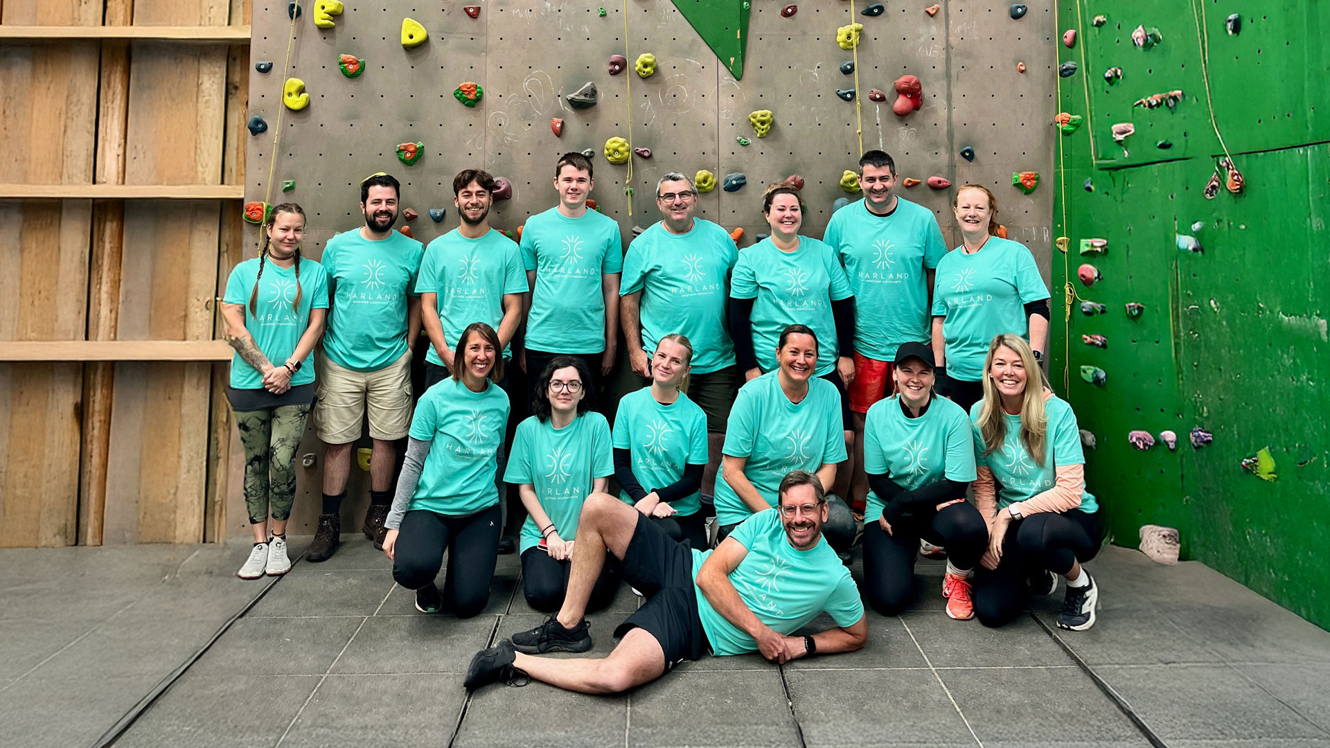 P46 Car Form Explained - Harland Accountants